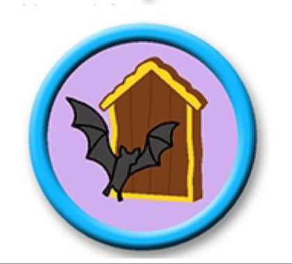 Bats Badge – Girls Love Scouting