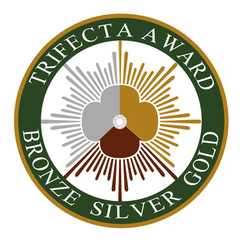 Fun Patches – Page 10 – Girls Love Scouting